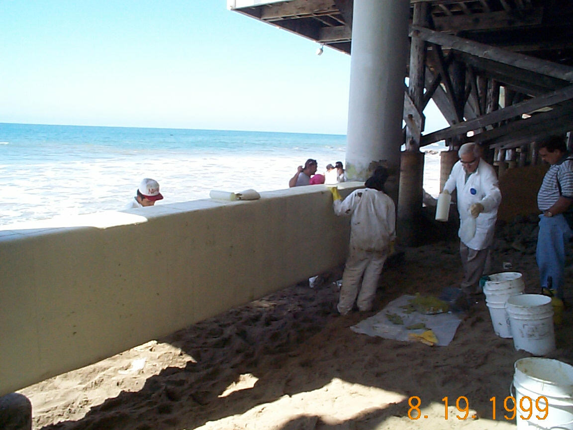 Field Applied Composite Systems - FACS