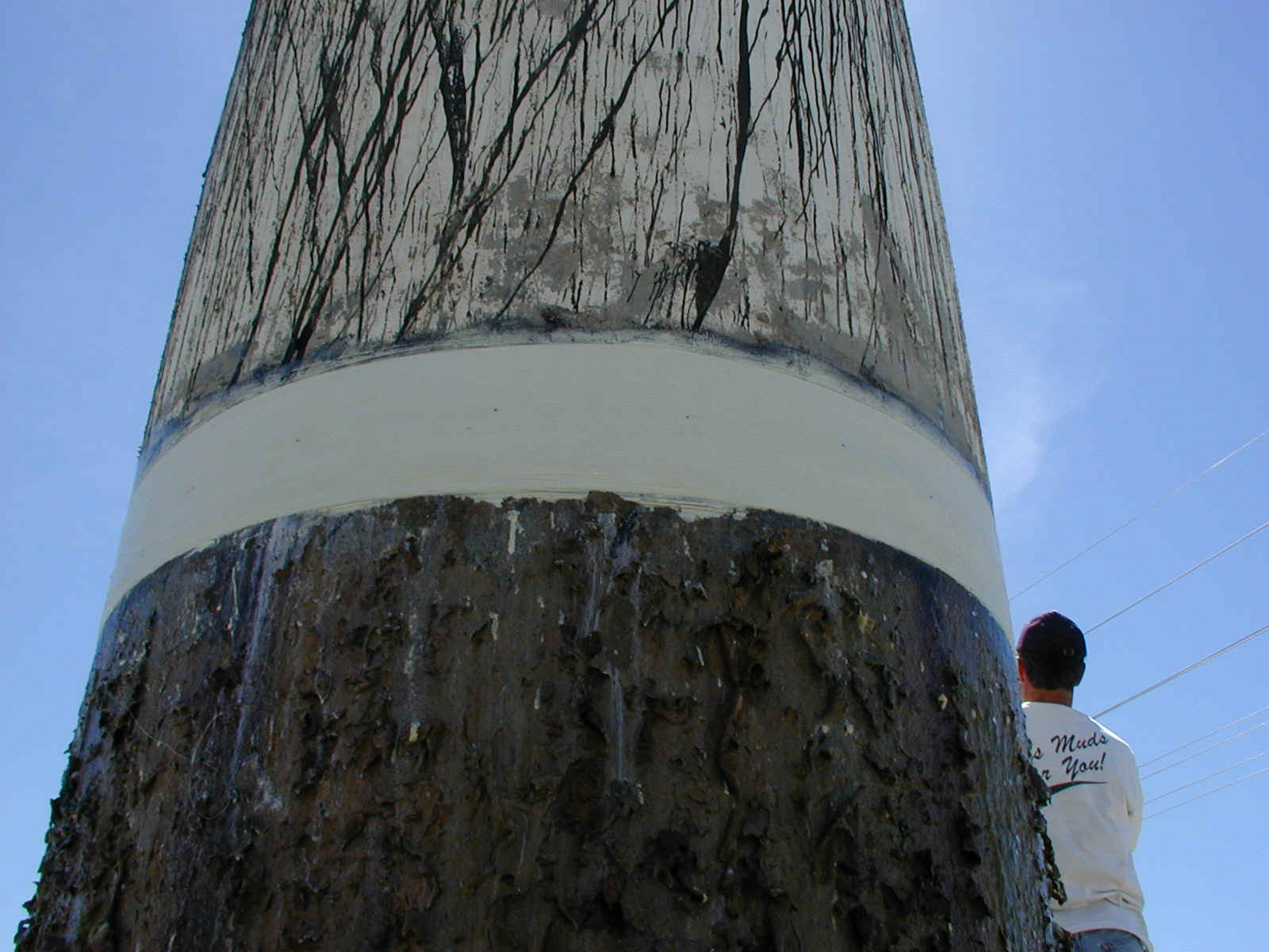 Field Applied Composite Systems - FACS