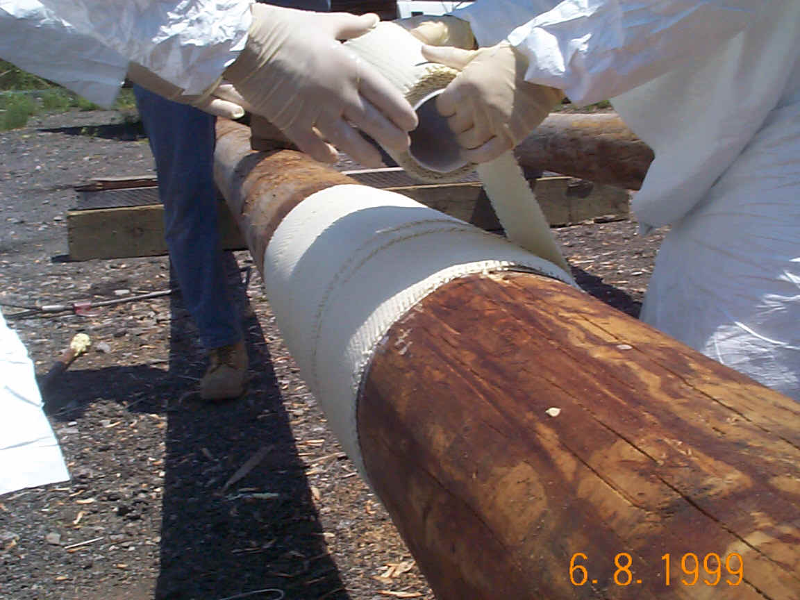 Field Applied Composite Systems - FACS